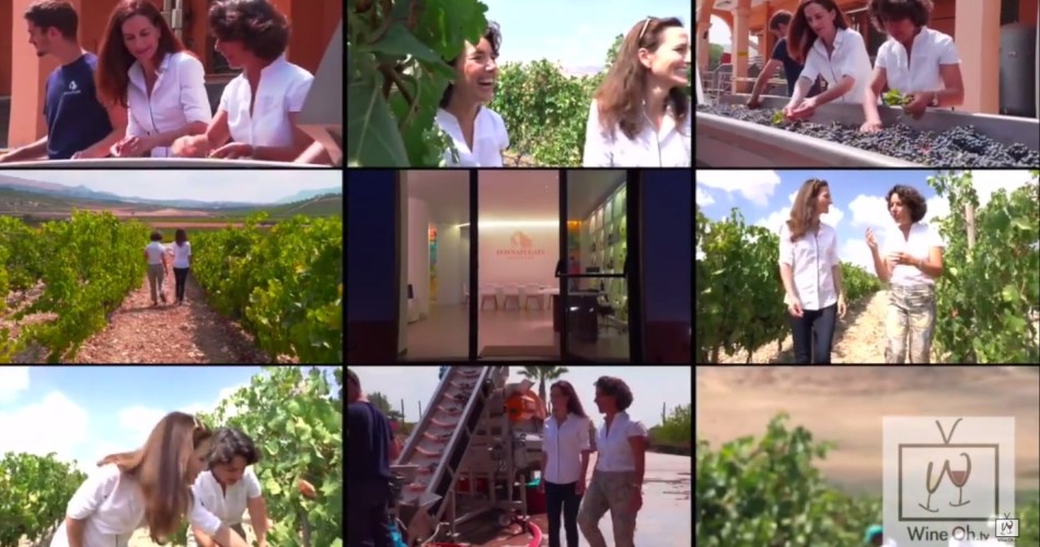 The Rallo Family’s Sicilian Wine Revolution - Donnafugata