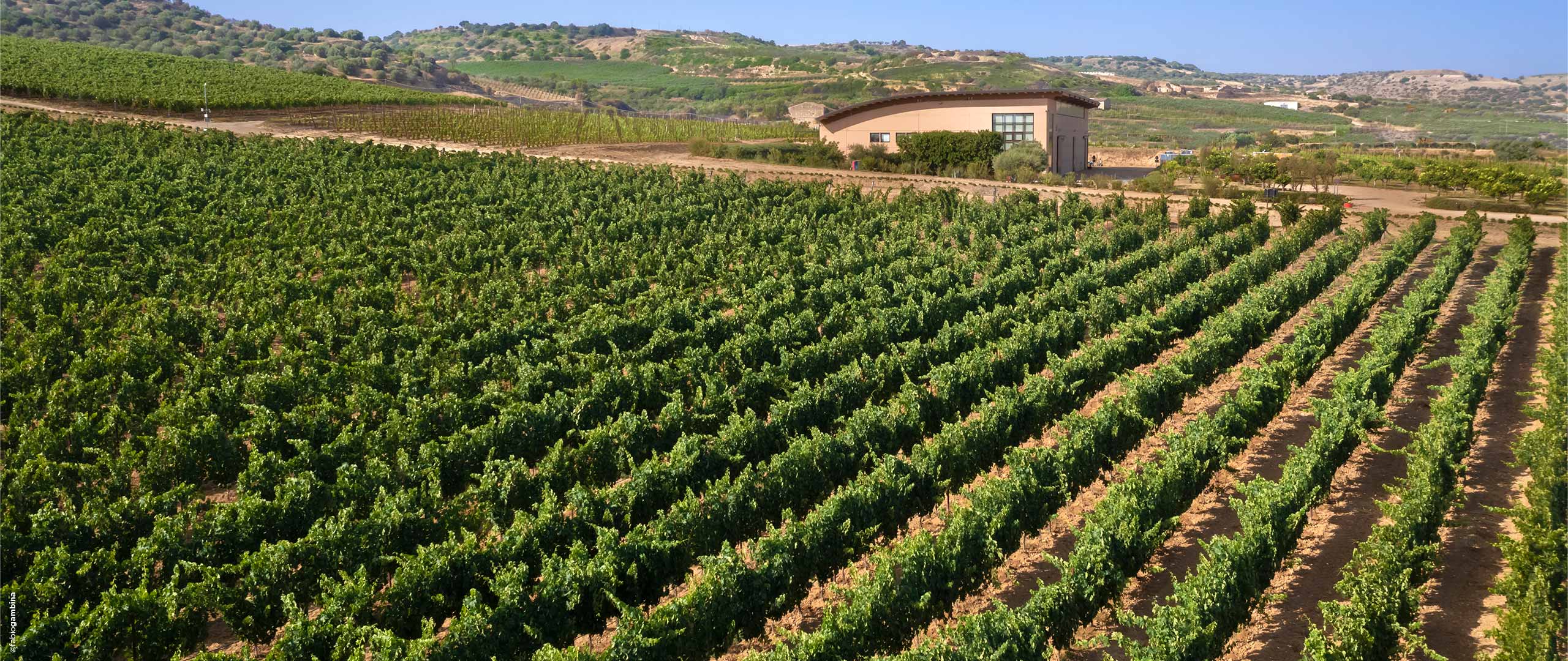 Winery in Sicily | Donnafugata
